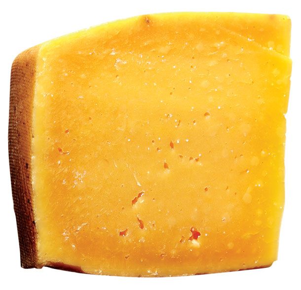 Montasio Cheese | Back Yard Farmer