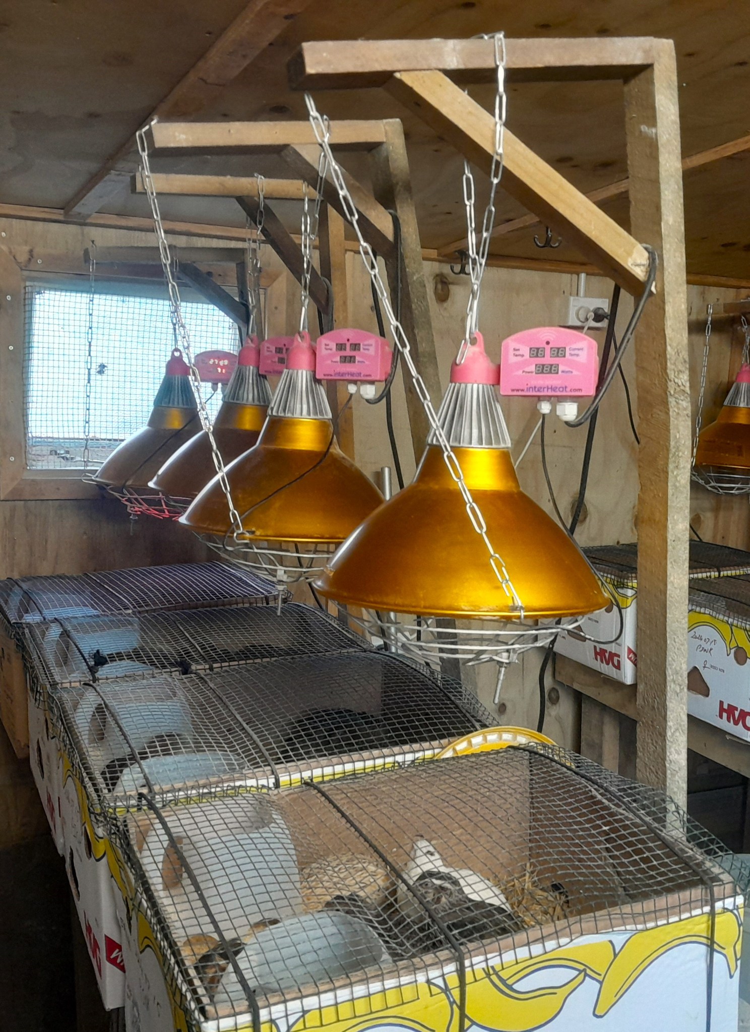 Back Yard Farmer | Sustainable Living